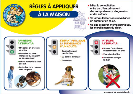 Le chien et l'enfant : comment bien gérer la cohabitation